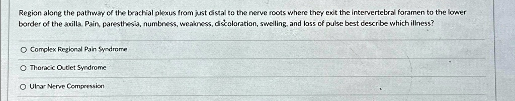 Region along the pathway of the brachial plexus from just distal to the ...