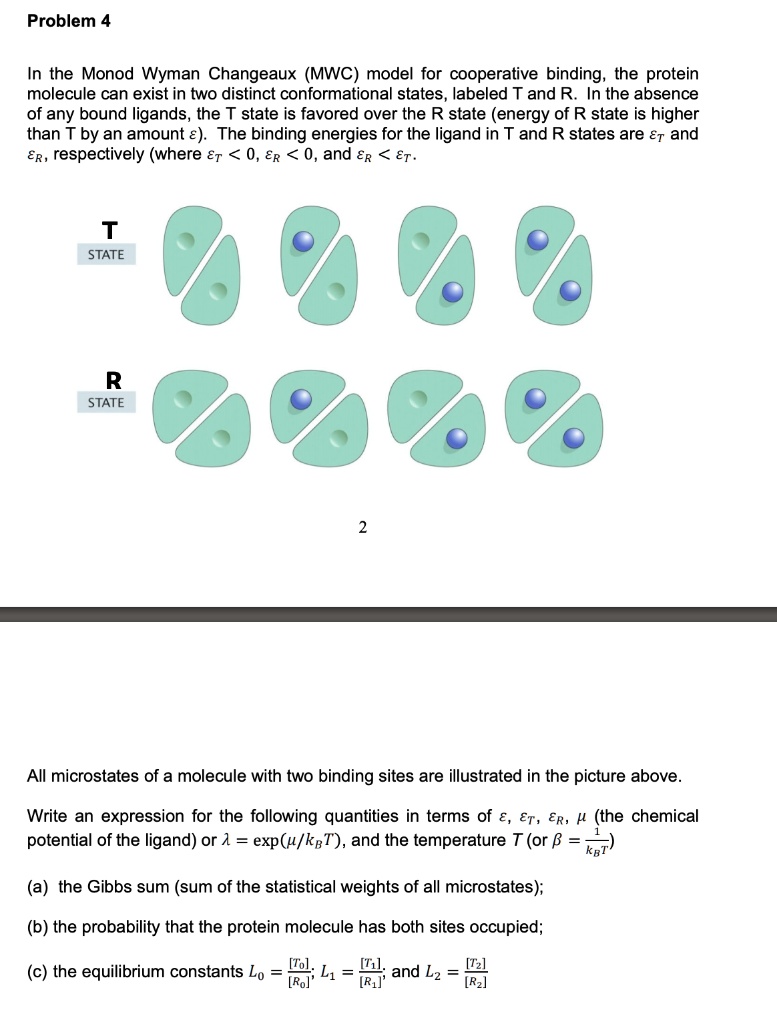 problem 4 in the monod wyman changeaux mwc model for cooperative ...