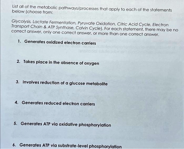 SOLVED: List all of the metabolic pathways/processes that apply to each ...