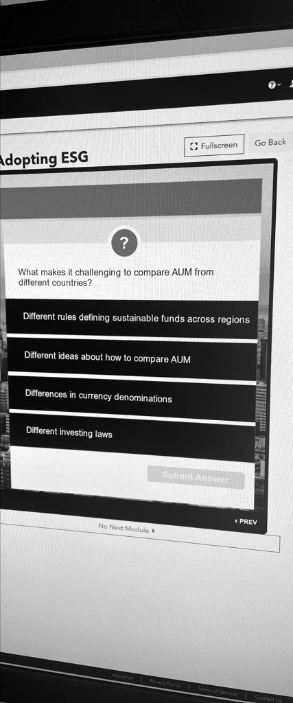 SOLVED: Adopting ESG What makes it challenging to compare AUM from ...