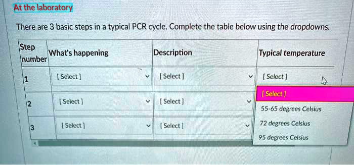SOLVED: At the laboratory There are 3 basic steps in a typical PCR ... SOLVED: At the laboratory There are 3 basic steps in a typical PCR ...