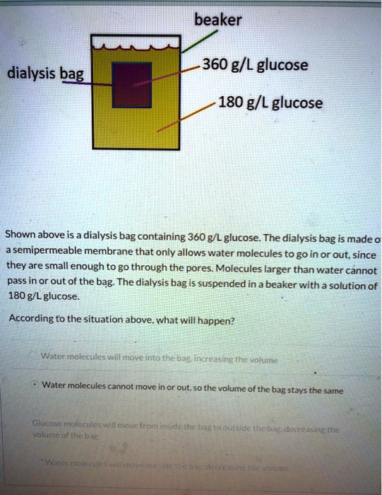 SOLVED: beaker dialysis bag 360 g/L glucose 180 g/L glucose Shown above ...
