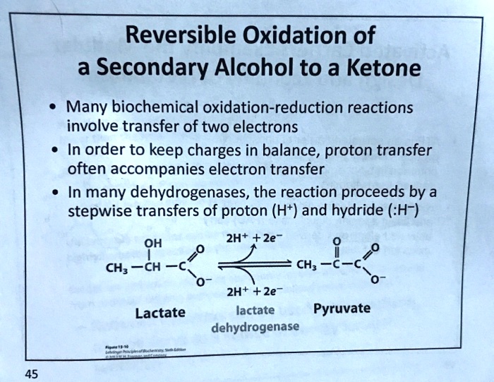 Reversible Oxidation of a Secondary Alcohol to a Ketone Many...