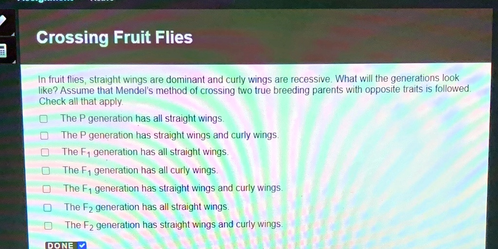 Crossing Fruit Flies In fruit flies, straight wings are...