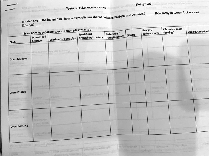 SOLVED: Week 1 Prokaryote worksheet How many differences between ...