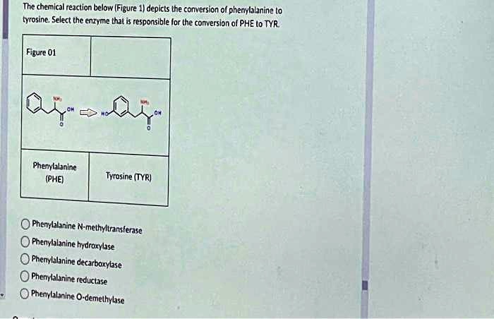 The chemical reaction below (Figure 1) depicts the conversion of ...