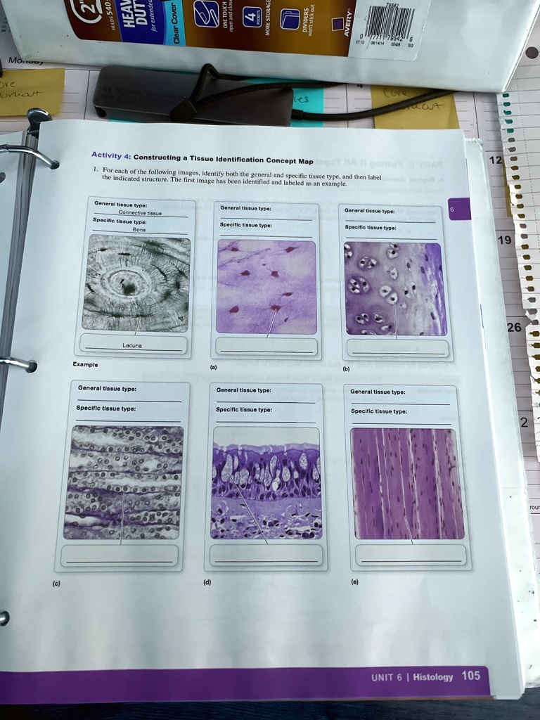 Activity 4: Constructing a Tissue Identification Concept Map 1. For each of the following images ...