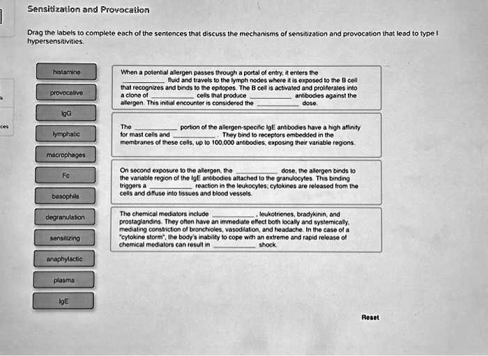 SOLVED: Sensitization and Provocation Drag the labels to complete each ...
