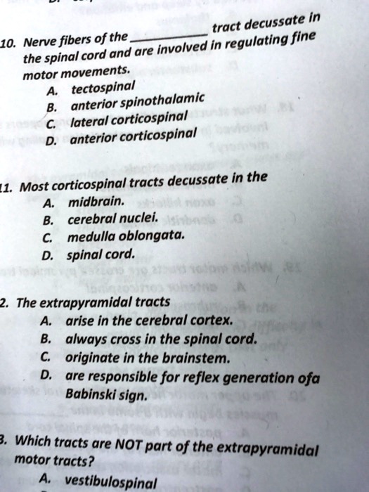 SOLVED: decussate In tract 10. Nerve fibers of the regulating fine cord ...