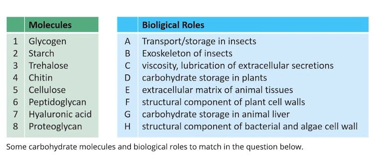 [GET ANSWER] molecules glycogen starch trehalose chitin cellulose ...