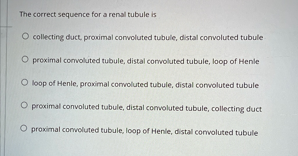 the correct sequence for a renal tubule is o collecting duct proximal ...
