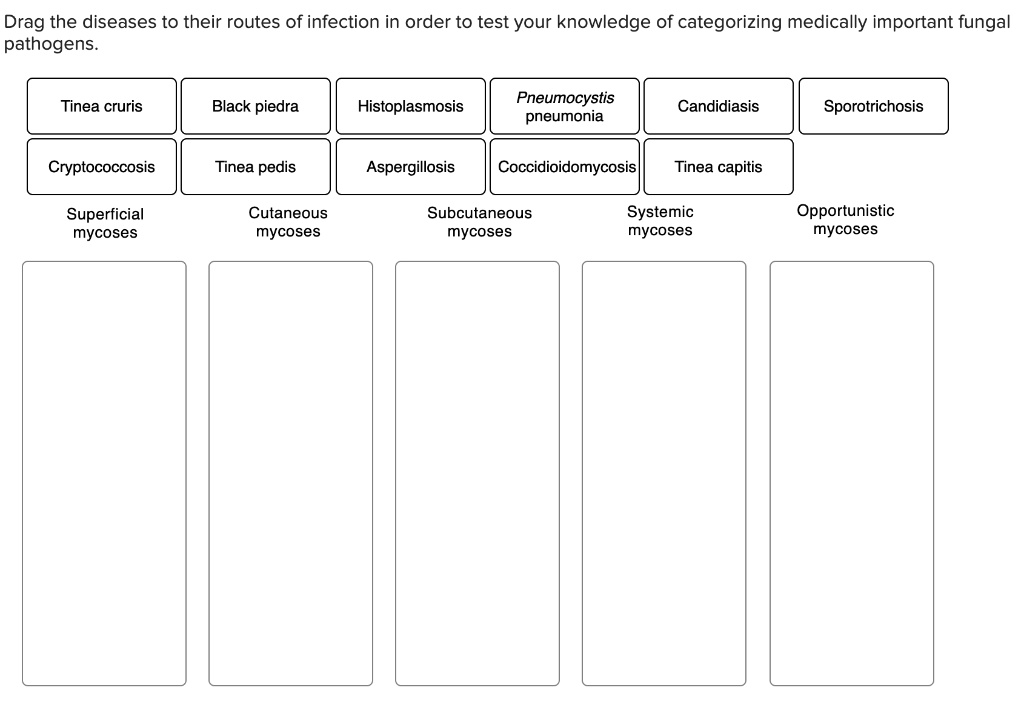Drag the diseases to their routes of infection in order to test your ...