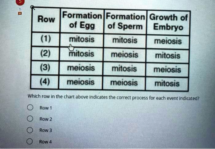 Row Formation Formation Growth of of Egg of Sperm Embryo (1) mitosis ...