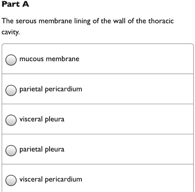 SOLVED: Part A The serous membrane lining of the wall of the thoracic ...