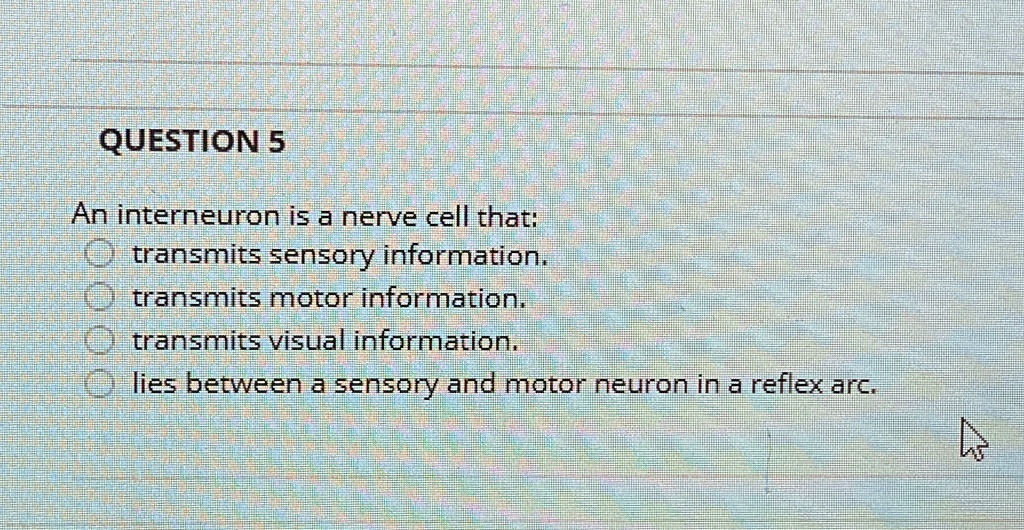 QUESTION 5 An interneuron is a nerve cell that: transmits sensory ...