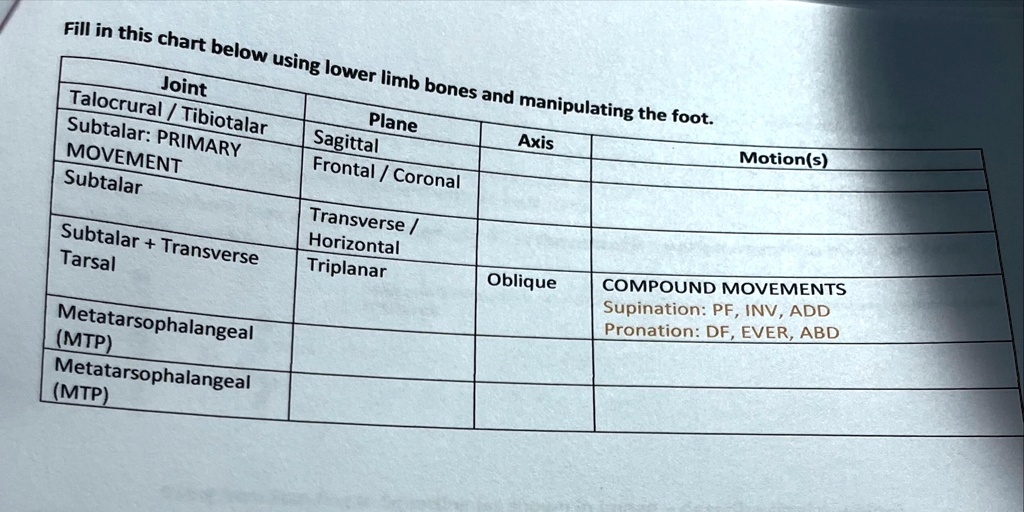 Fill in this chart below using lower limb bones and manipulating the ...