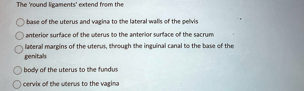 the round ligaments extend from the base of the uterus and vagina to ...