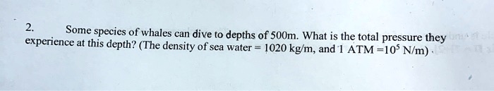 SOLVED: Some species of whales can dive to depths of 5000m. What is the total pressure they ...