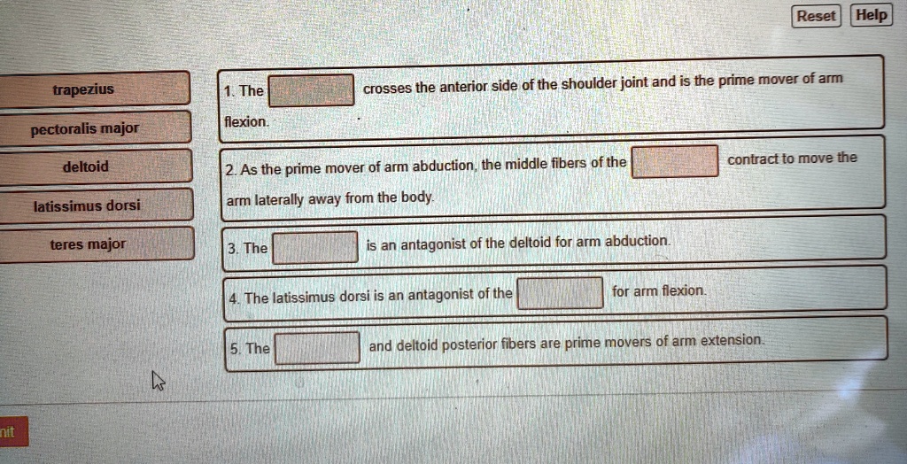 1. The crosses the anterior side of the shoulder joint and is the prime ...
