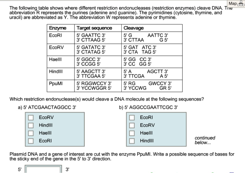 Map The following table shows where different restriction endonucleases (restriction enzymes ...