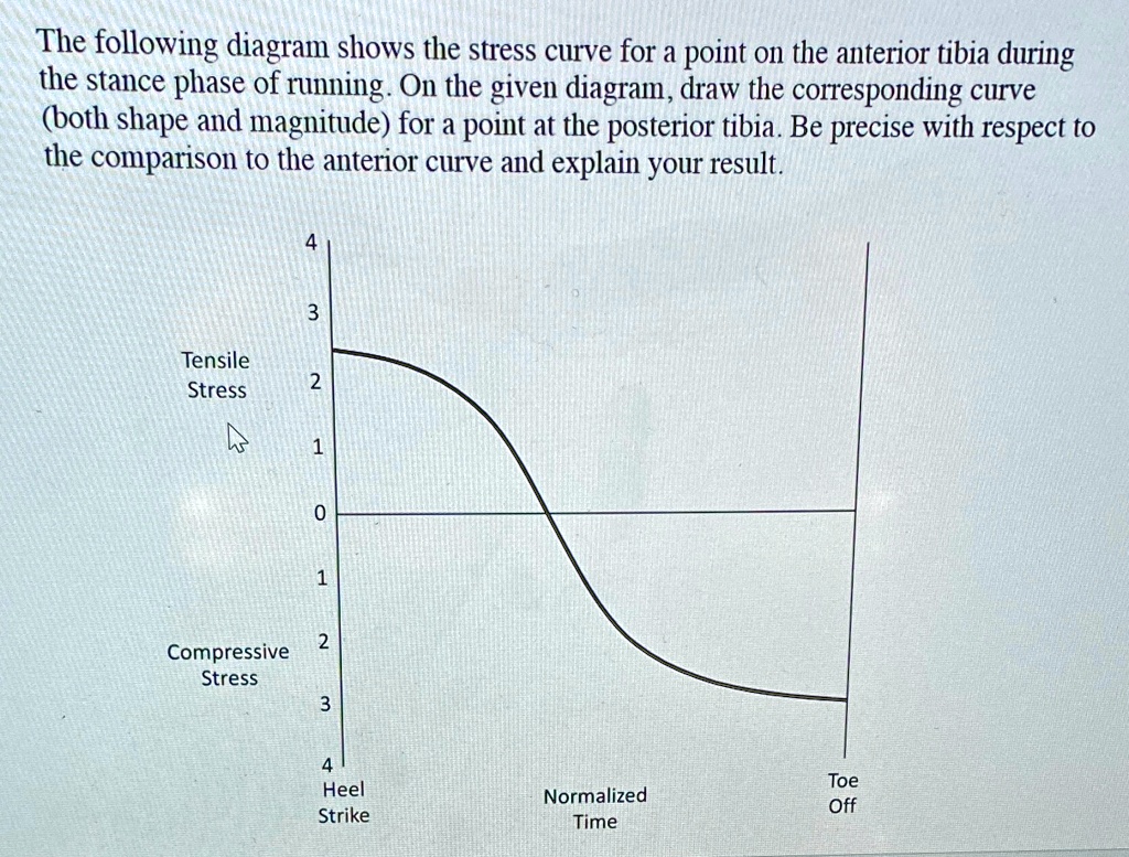 picture below draw corresponding curve both shape and magnitude for a ...