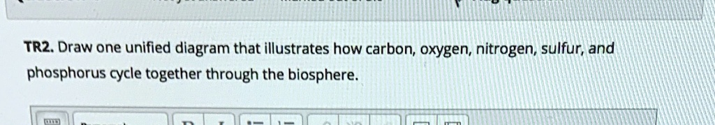 TR2. Draw one unified diagram that illustrates how carbon, oxygen ...