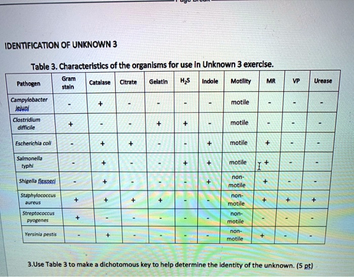 SOLVED: IDENTIFICATION OF UNKNOWN 3 Table 3. Characteristics of the ...