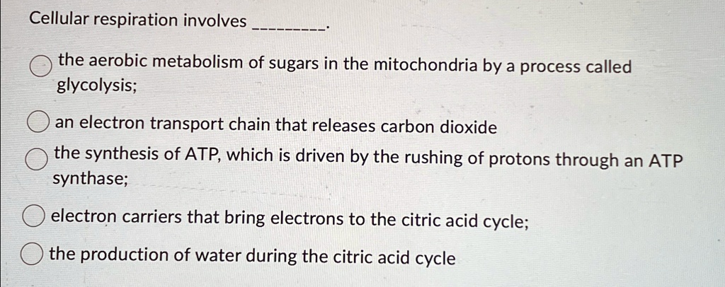 SOLVED: Cellular respiration involves the aerobic metabolism of sugars ...