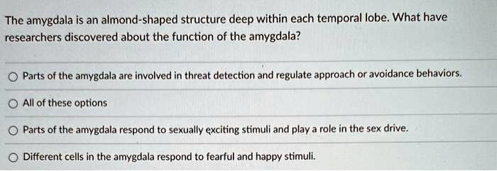 SOLVED: The amygdala is an almond-shaped structure deep within each ...