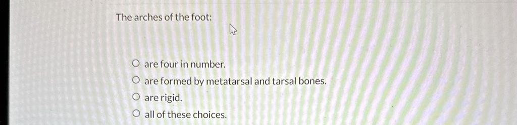 The arches of the foot: ? are four in number. ? are formed by ...