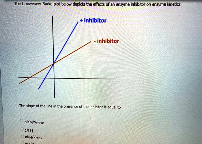 SOLVED: The Lineweaver-Burk plot below depicts the effects of an enzyme ...