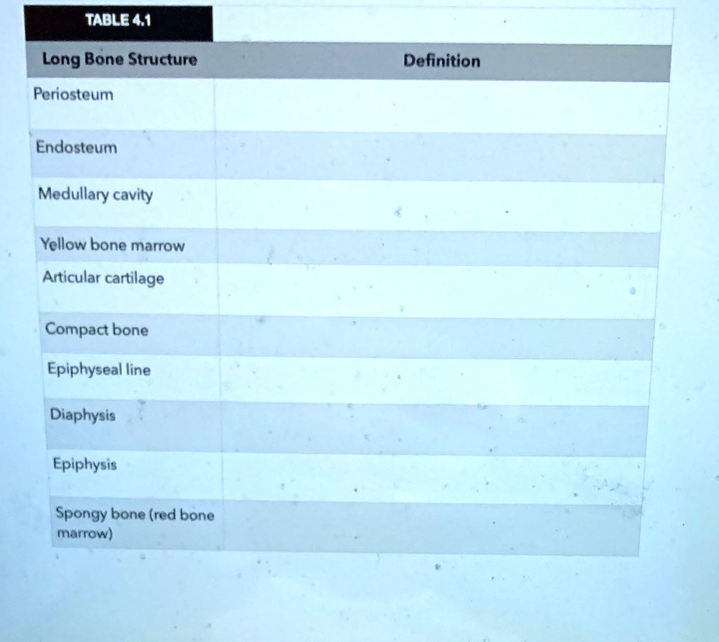 table 41 long bone structure periosteum definition endosteum medullary ...