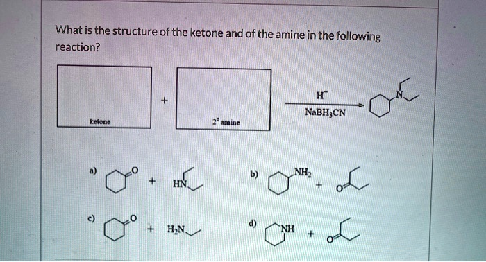 SOLVED: Whatis the structure of the ketone and ofthe amine in the ... SOLVED: Whatis the structure of the ketone and ofthe amine in the ...