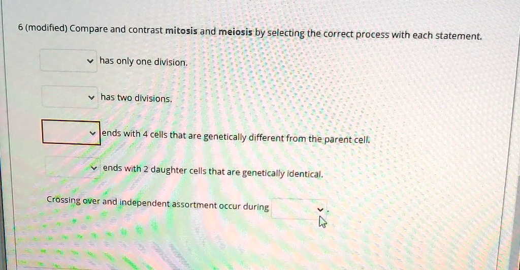 SOLVED: (modified) Compare and contrast mitosis and meiosis by ...