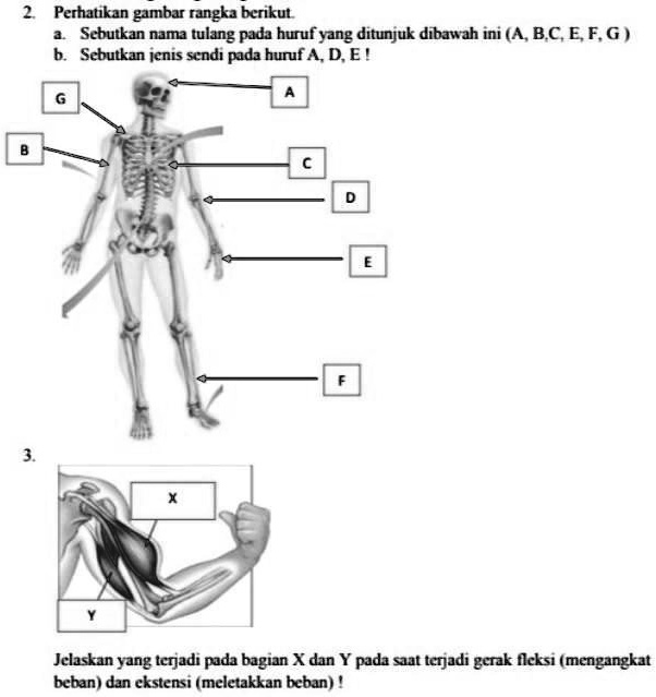 SOLVED: bantu Jawab dong ..... Perhatikan gumbar rangka berikut ... SOLVED: bantu Jawab dong ..... Perhatikan gumbar rangka berikut ...