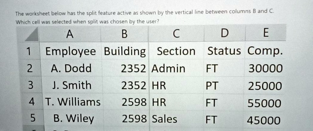 SOLVED: The worksheet below has the split feature active as shown by the vertical line between ...