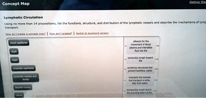 SOLVED: Concept Map Concept Map Getting Sta Lymphatic Circulation Using no more than 14 ...