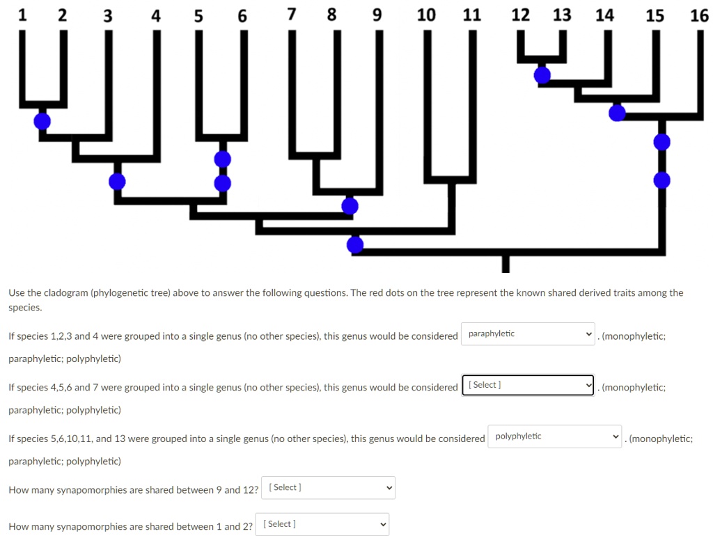 SOLVED: Use the cladogram (phylogenetic tree) above to answer the ...