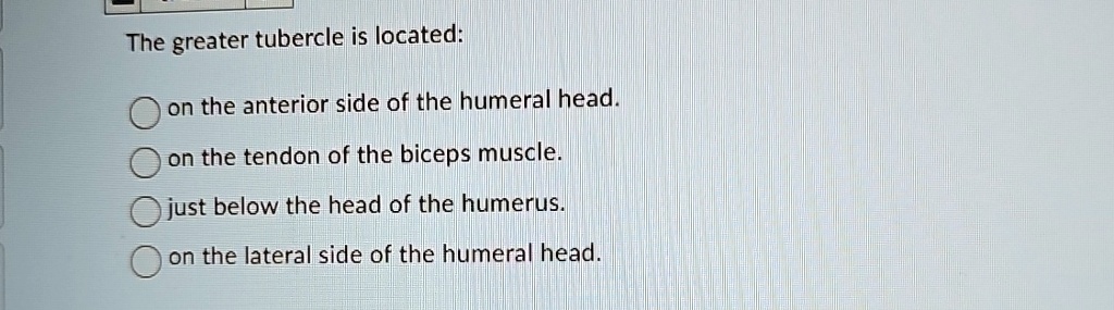 the greater tubercle is located on the anterior side of the humeral ...