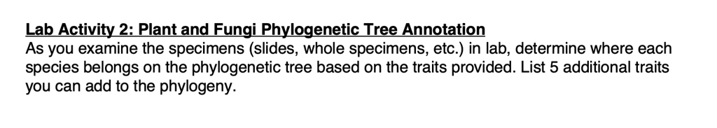 lab activity 2 plant and fungi phylogenetic tree annotation as you ...