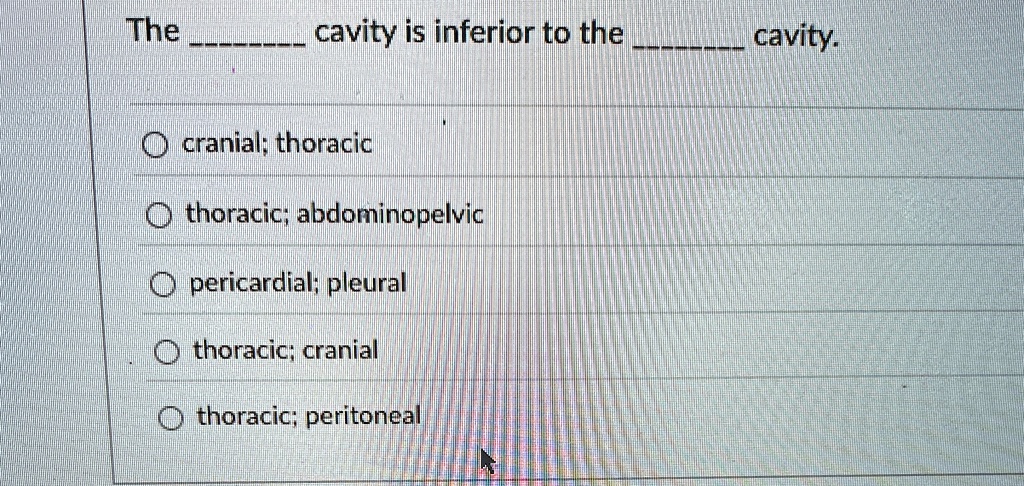 the cavity is inferior to the cavity cranial thoracic thoracic ...