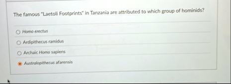 the famous laetoli footprints in tanzania are attributed to which group ...