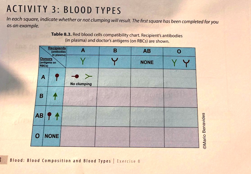 SOLVED: Activity 3: BLOOD TYPES In each square, indicate whether or not ...