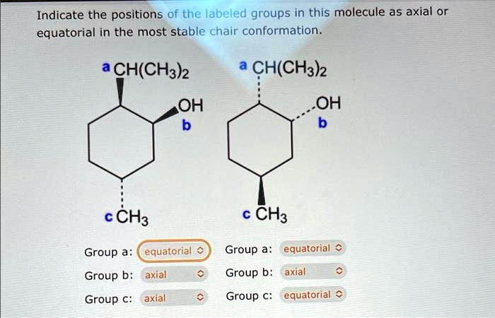SOLVED: Indicate the positions of the labeled groups in this molecule as axial or equatorial in ...