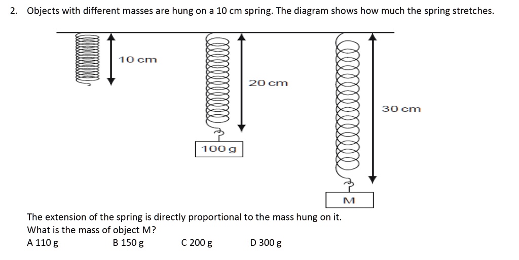 2. Objects with different masses are hung on a 10 cm spring. The ...
