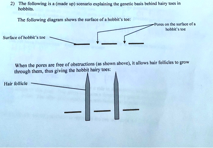 SOLVED: The following is a (made up) scenario explaining the genetic ...