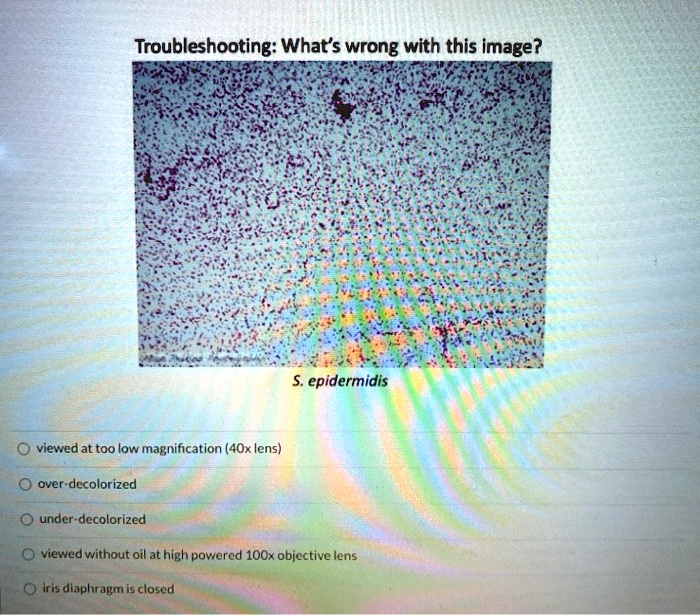 SOLVED: Troubleshooting: What's wrong with this image? epidermidis ...