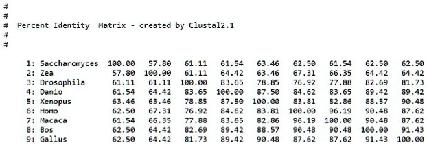 SOLVED: Percent Identity Matrix created Clustal2.1 Soccharomyces 100.00 ...