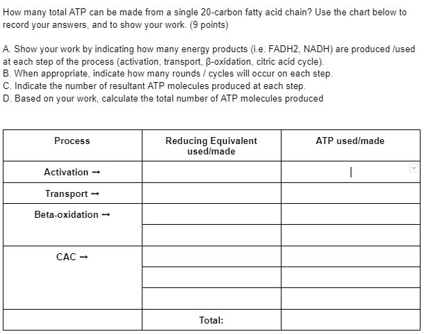How many total ATP can be made from a single 20-carbon fatty acid chain ...