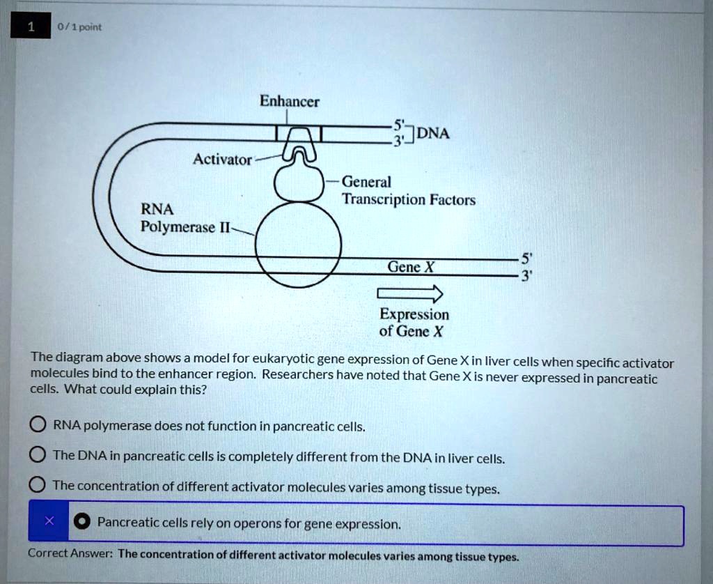 SOLVED: Could anyone please explain the reason why the correct answer ...